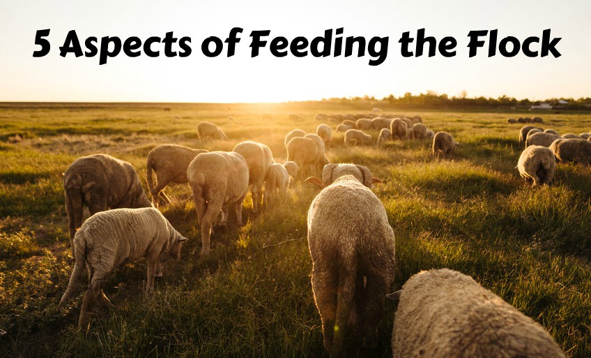5 Aspects of Feeding the Flock | Biblical Preaching